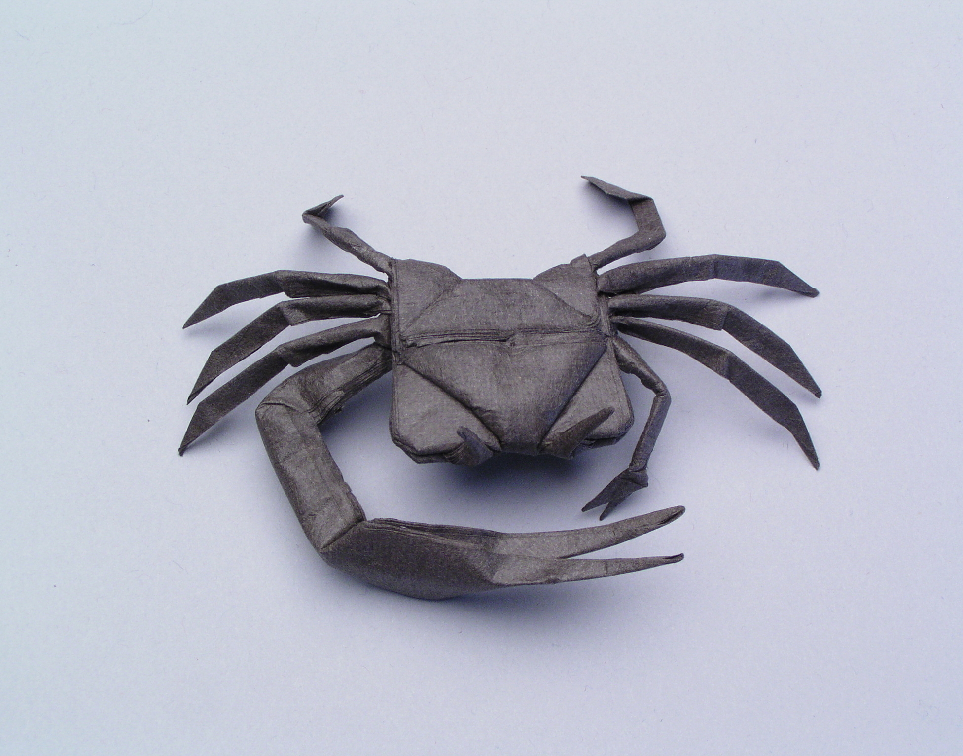Fiddler Crab, Opus 446