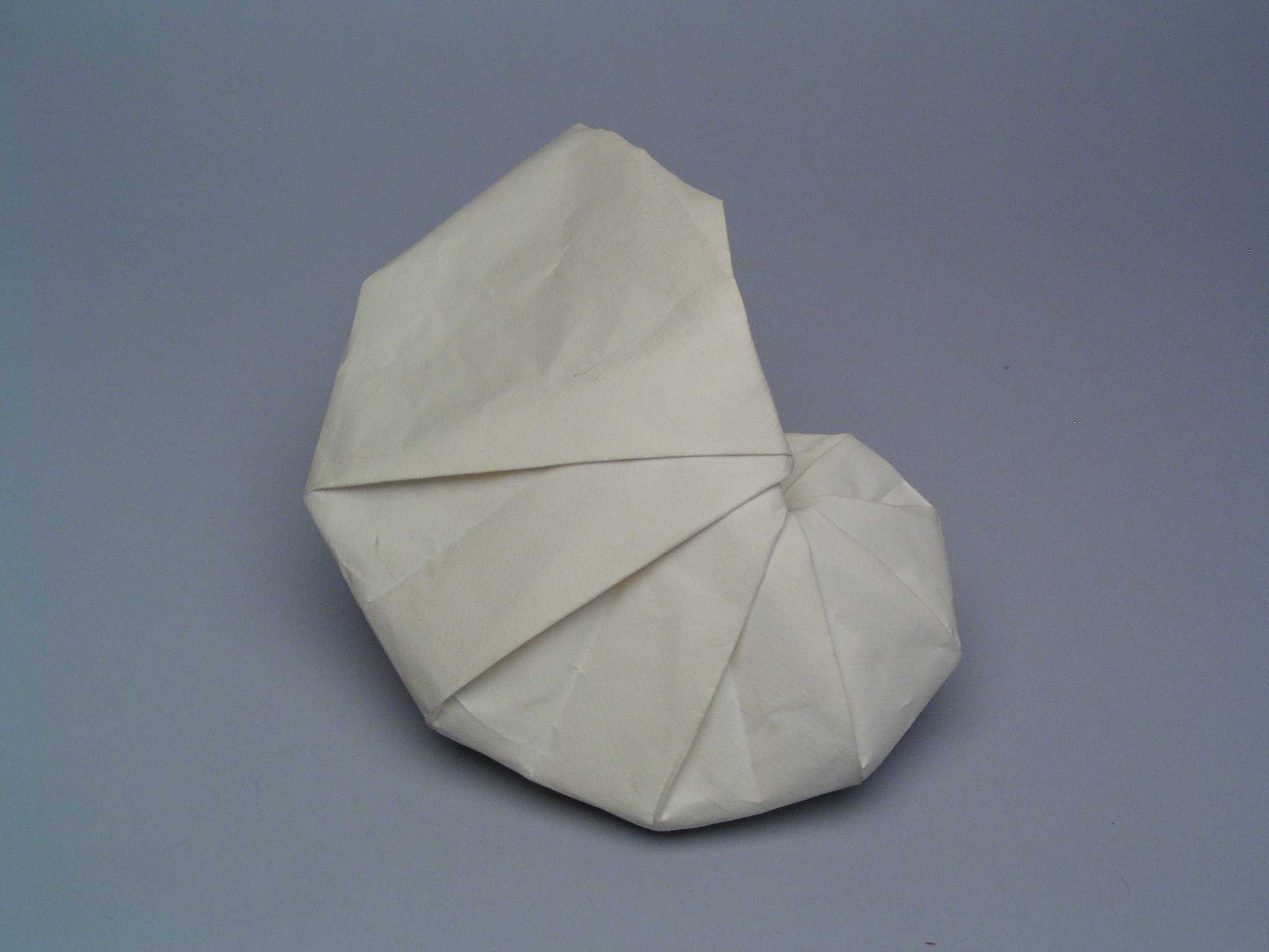 Artwork tags sea-life