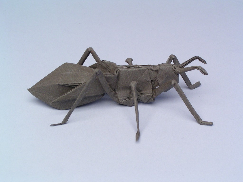 Paper Wasp, Opus 76