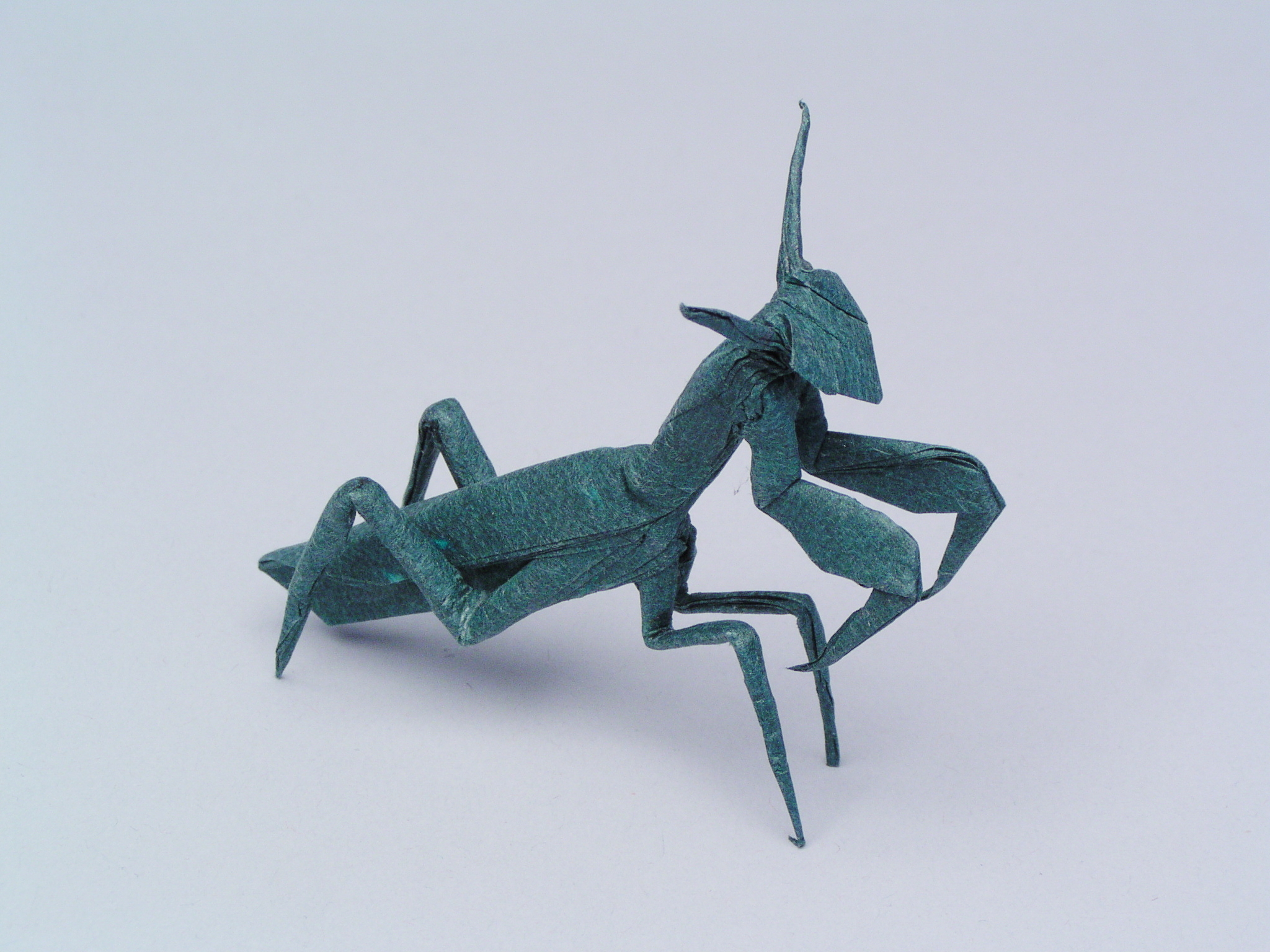Praying Mantis, Opus 416
