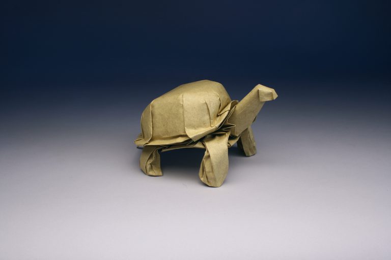 Galapagos Tortoise, opus 683